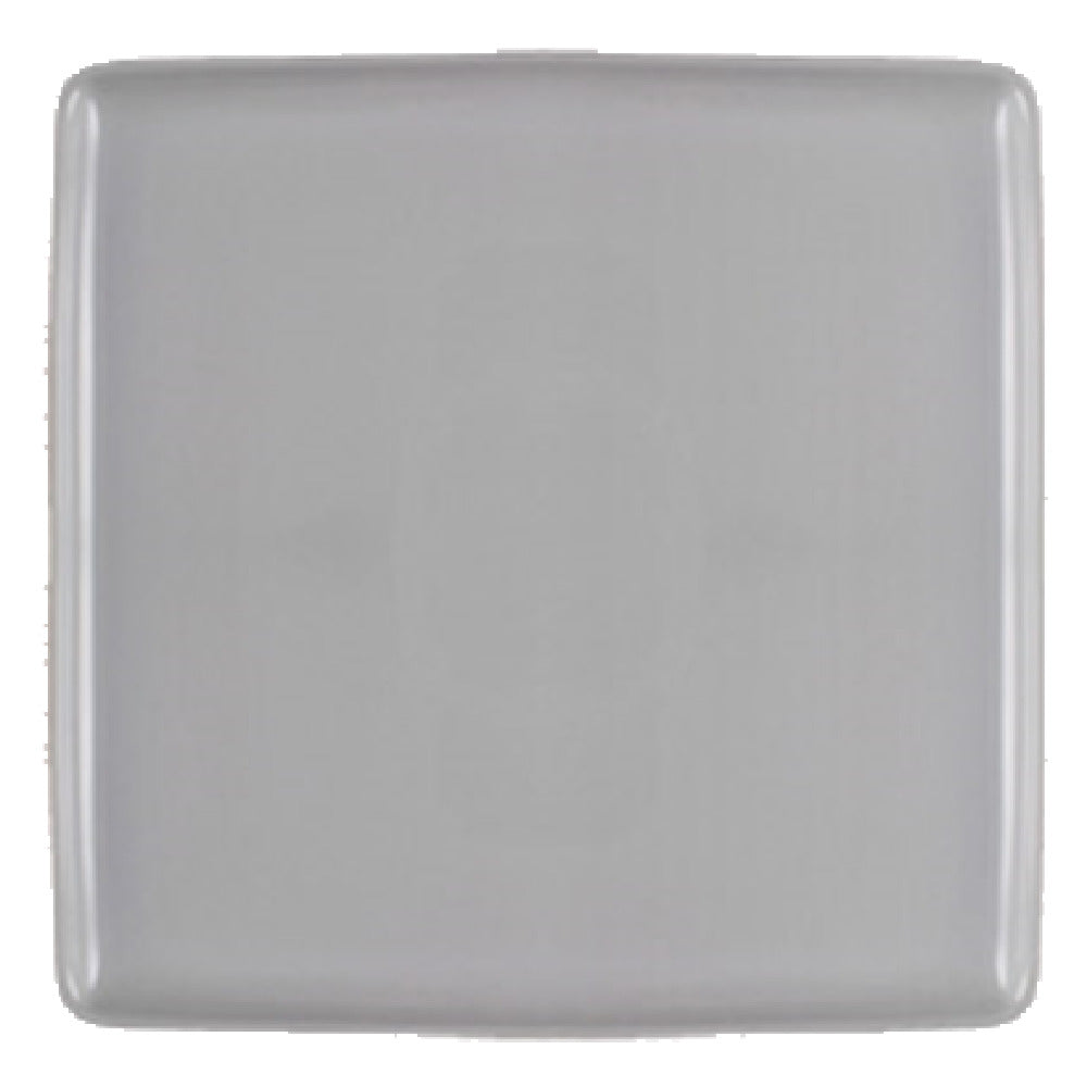 Vertex China AV-SP20 - 11 Inch Plate – Bright White Rolled Edge ...